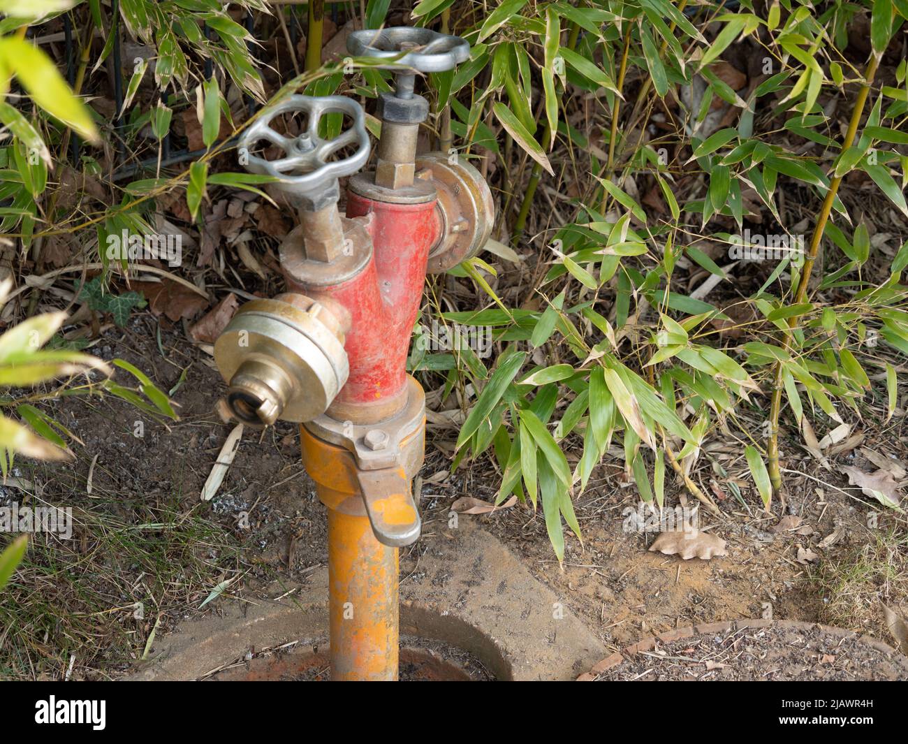Watering hydrants in the park. Watering system Stock Photo - Alamy