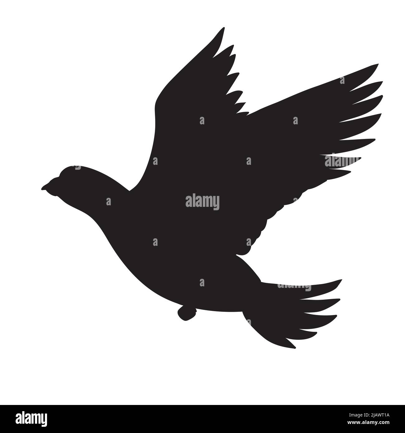 Silhouette of a pigeon. Vector illustration black icon logo standing ...