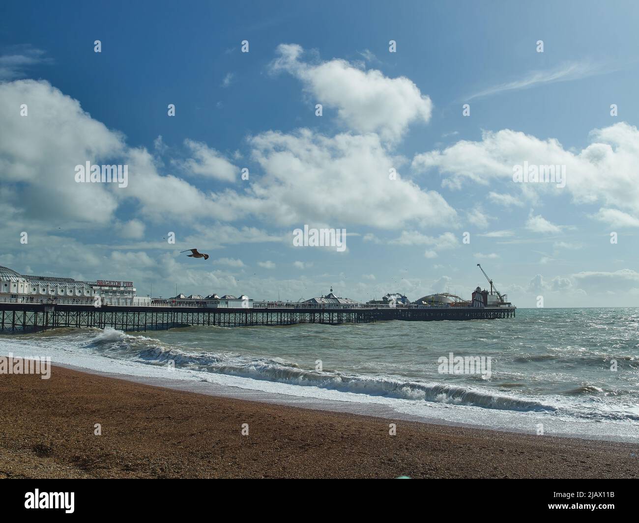 A gull rides the wind in a bright blue sky above the pebble beach ...