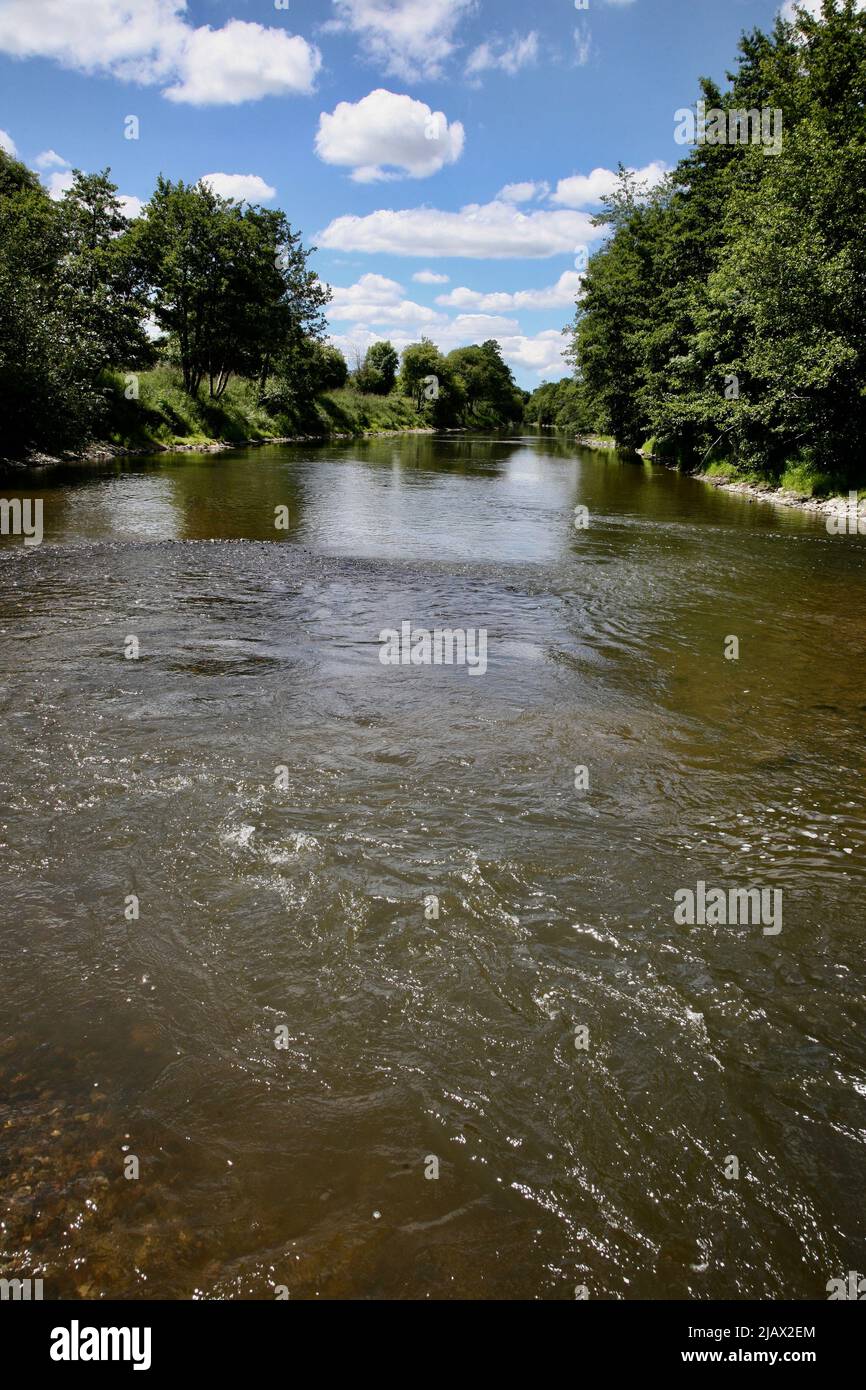 Fast river in middle forest hi-res stock photography and images - Alamy