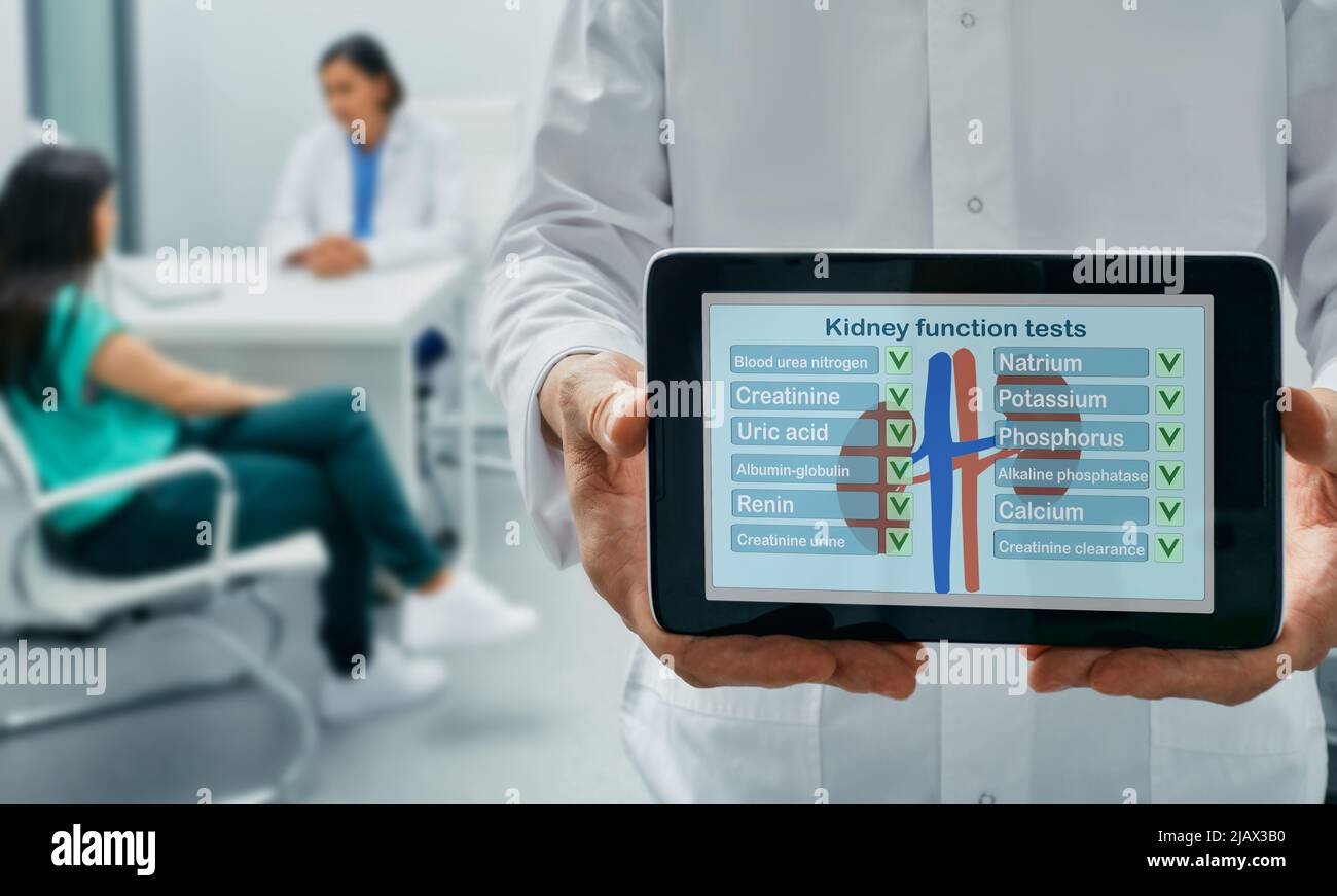 Kidney function tests, concept. Urologist holding tablet with results ...