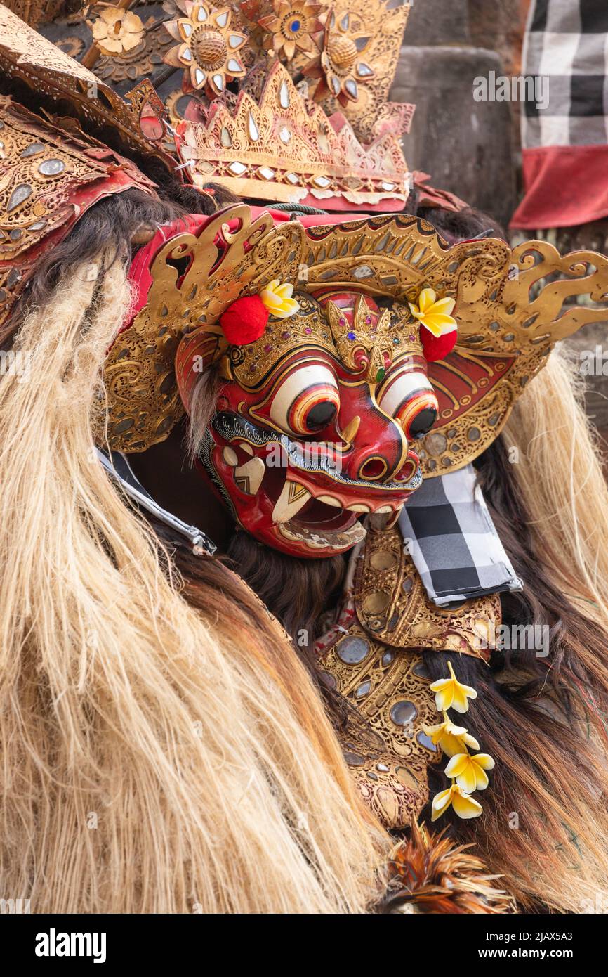 A dancing artist, disguised as a Barong, demonstrates about the ...
