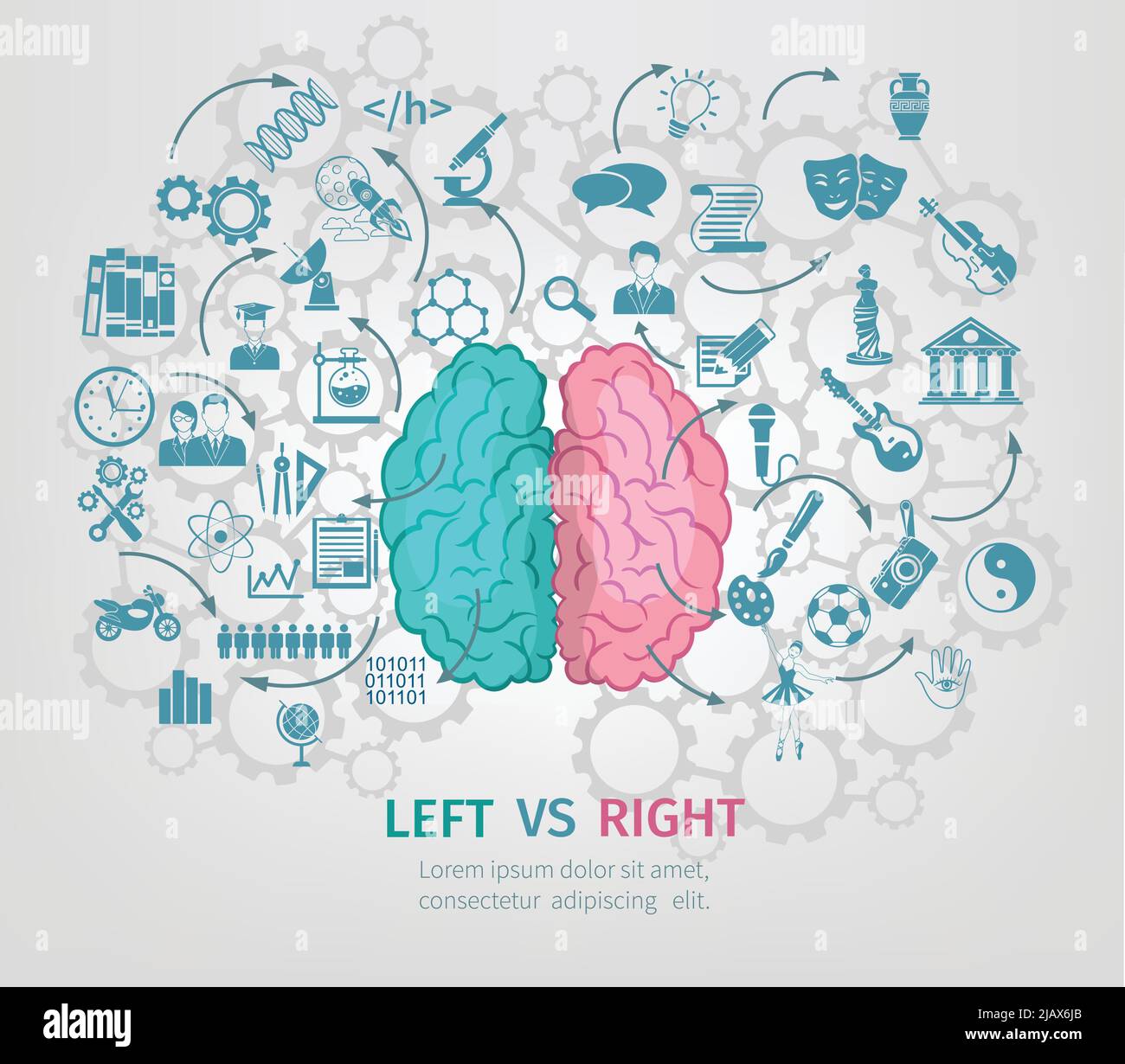 Human brain concept with left and right hemispheres flat vector ...