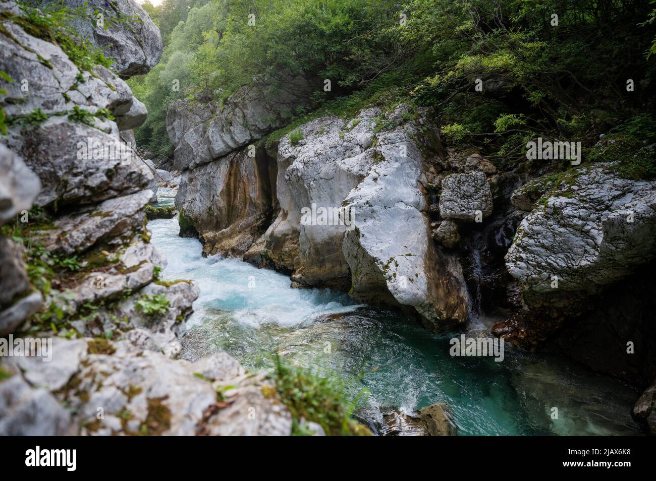 Fast river of soca flowing through cliff of big gorge and green summer ...