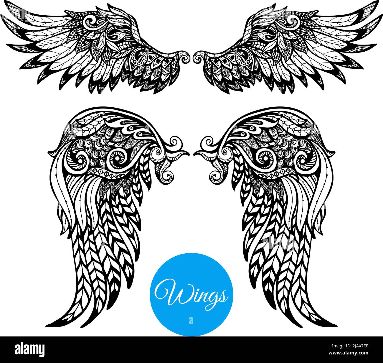 Decorative wings set with hand drawn ornamental feathers isolated ...