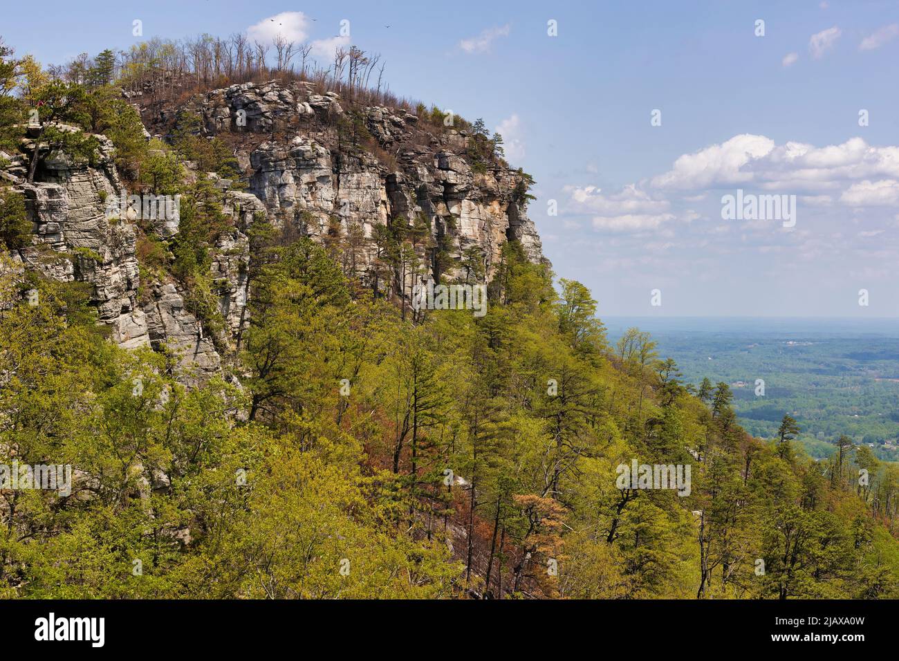 Pilot Mountains, 2421 feet above sea level, is what is left of the ...