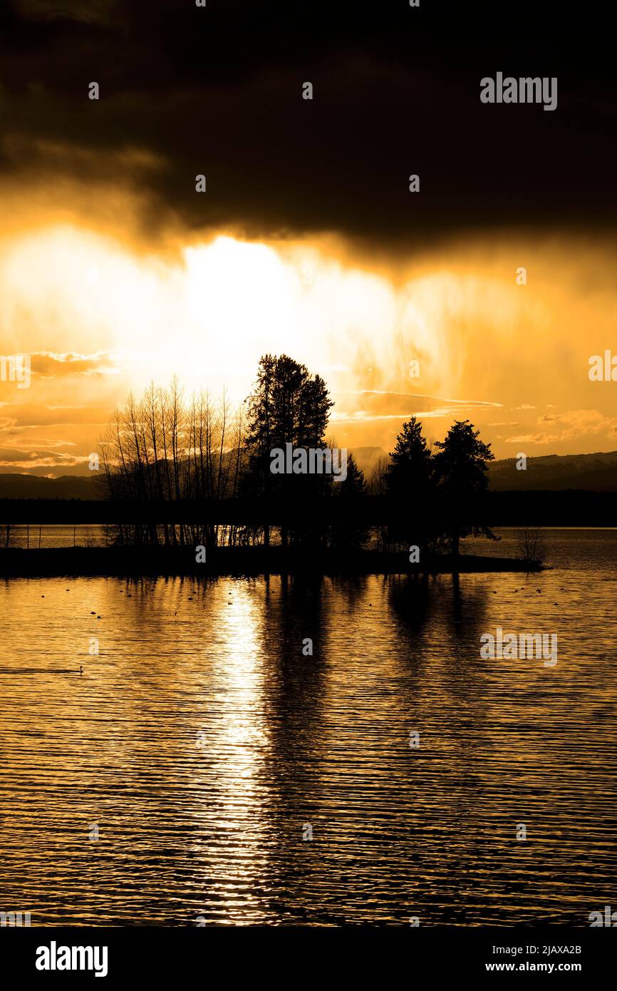 Dense woodland over the lake hi-res stock photography and images - Alamy