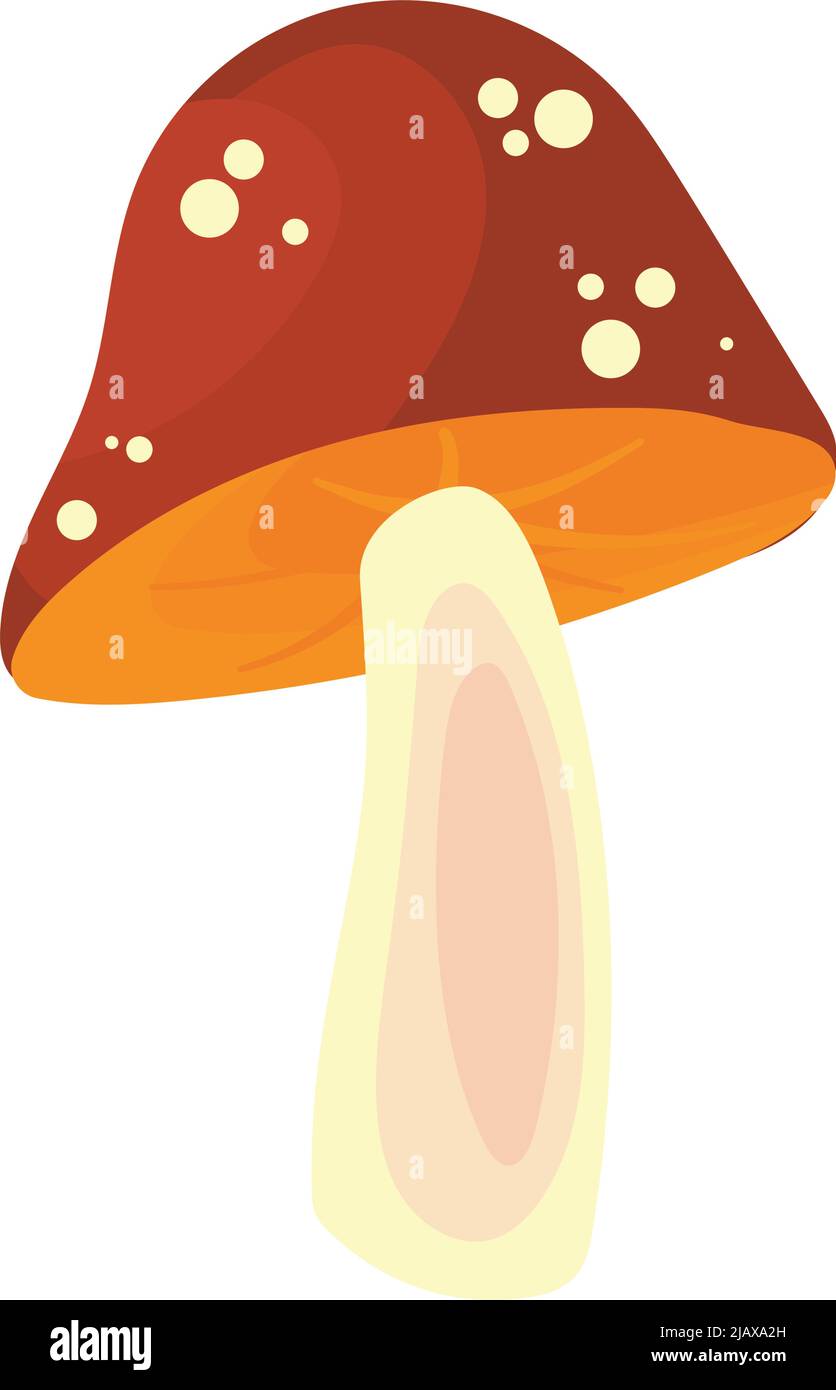fall fungus design Stock Vector Image & Art - Alamy