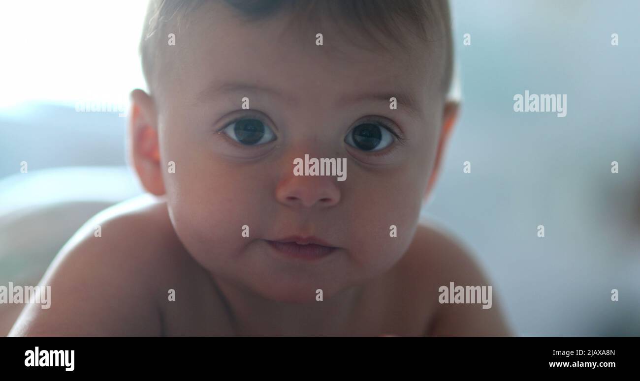 Cute baby face looking at camera. Toddler infant portrait Stock Photo ...