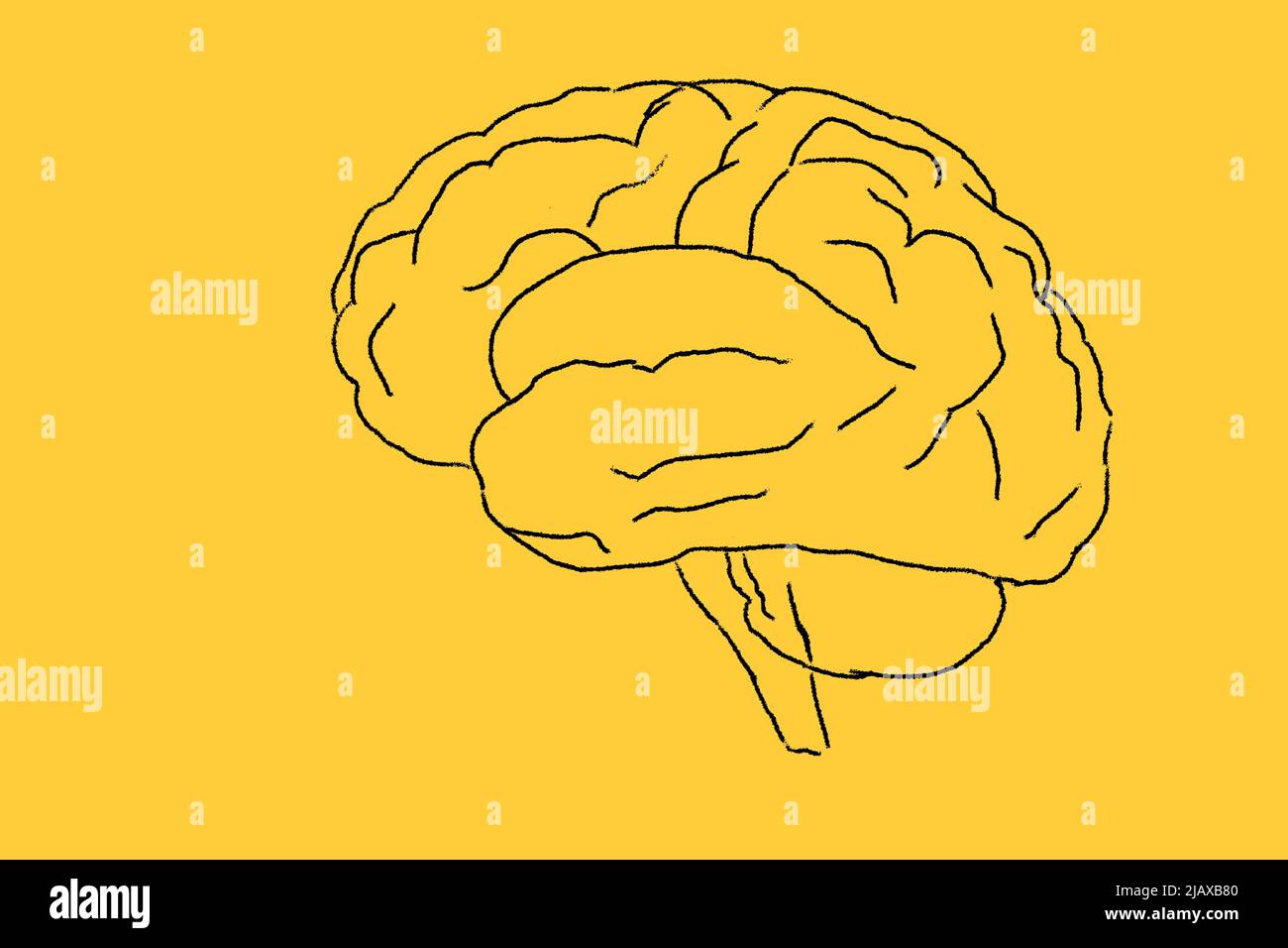 Human Brain drawing on yellow background Stock Photo - Alamy