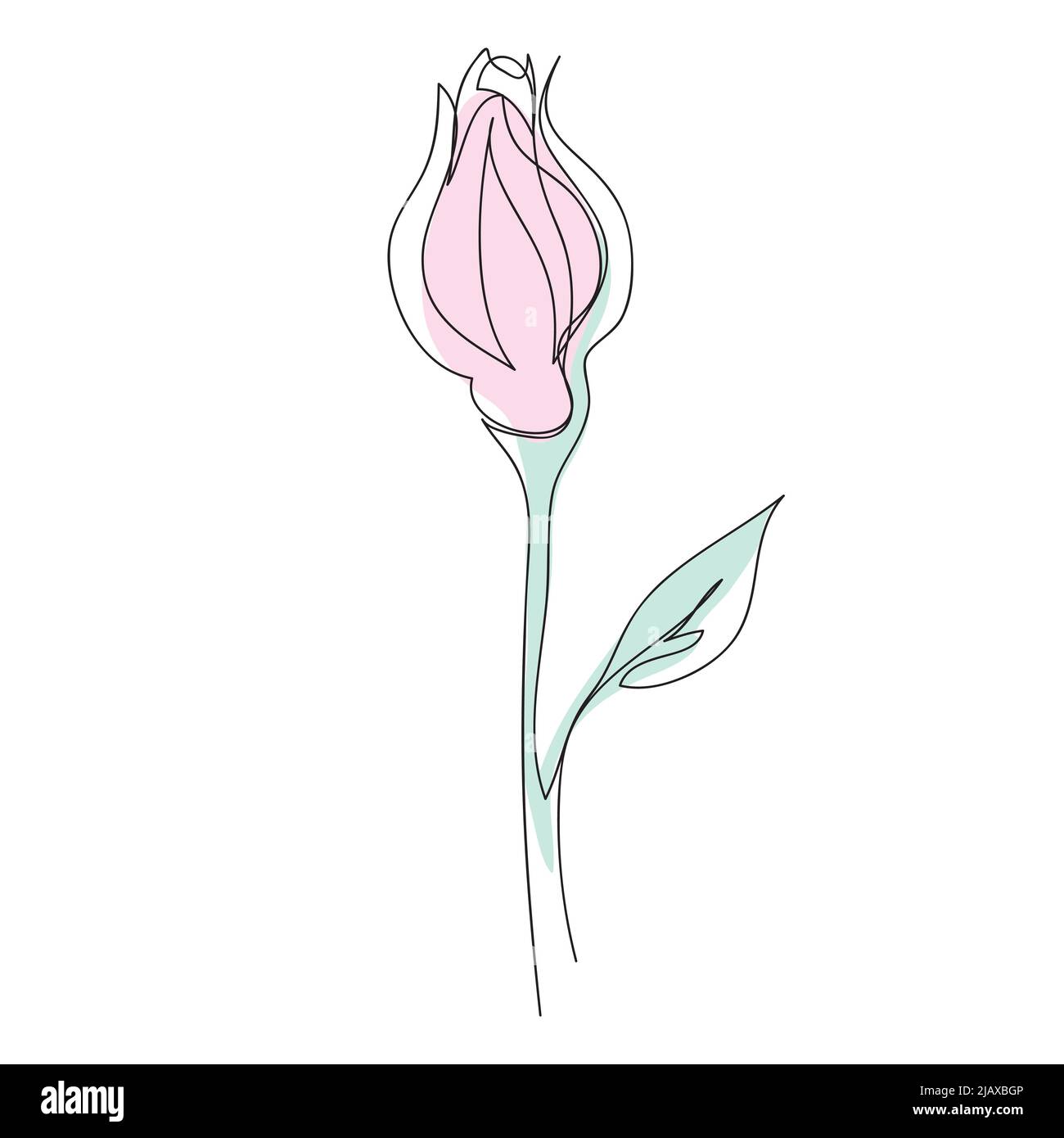 Single Pink Flower Drawing