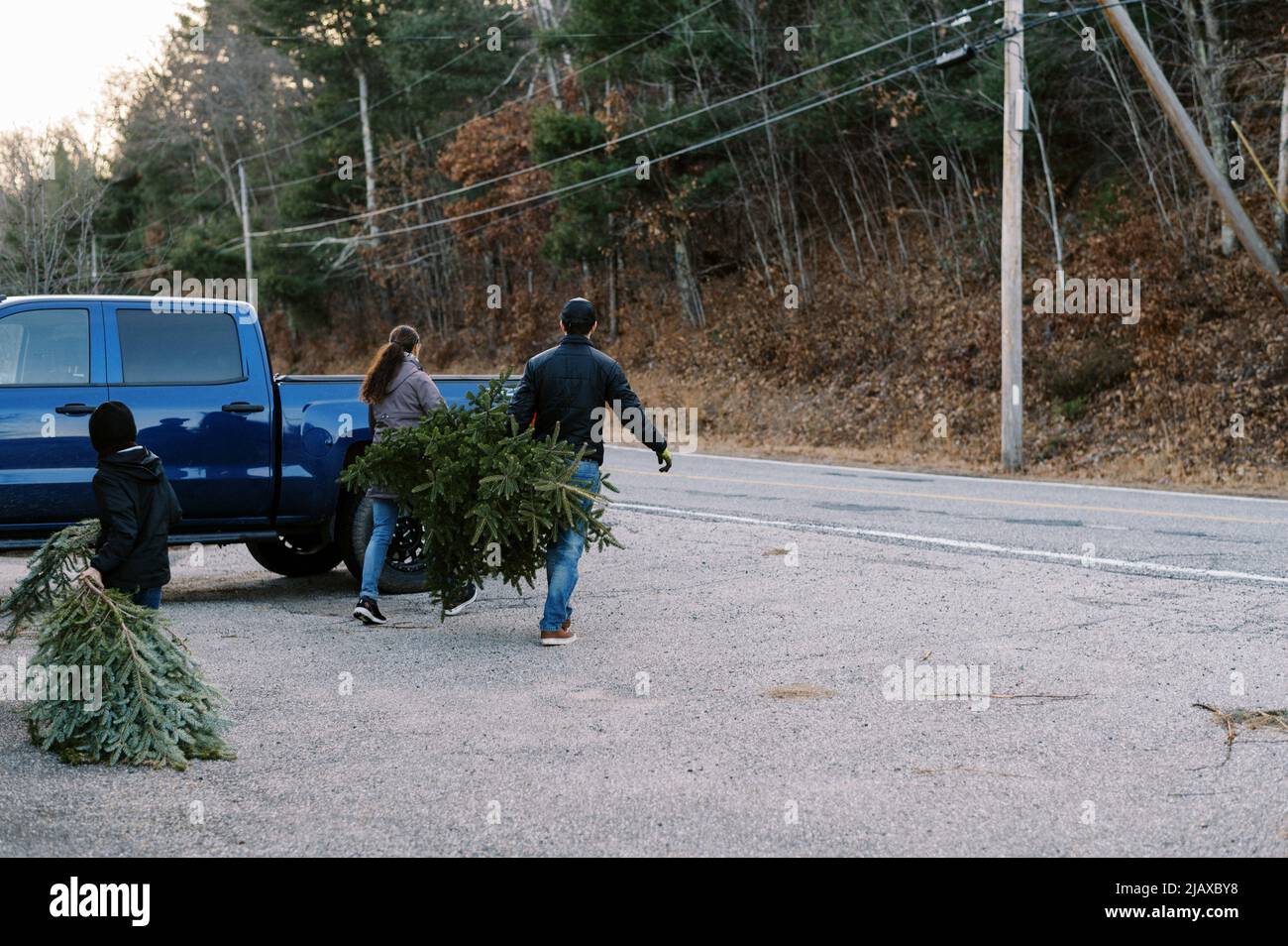 Family at holiday at farm family at holiday at farm hi-res stock ...