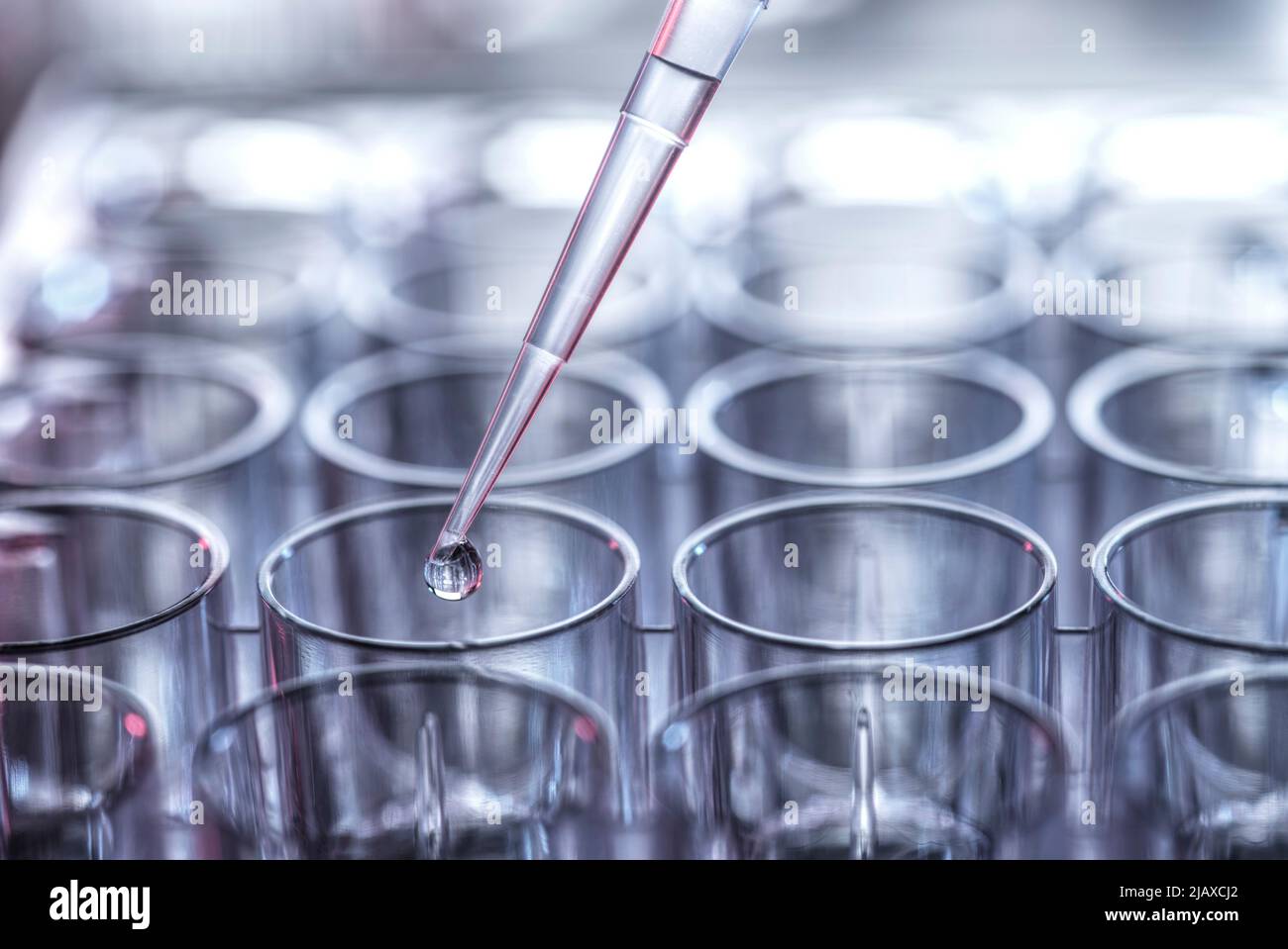 Pharmaceutical Research, Pipetting sample into a multi well plate Stock ...