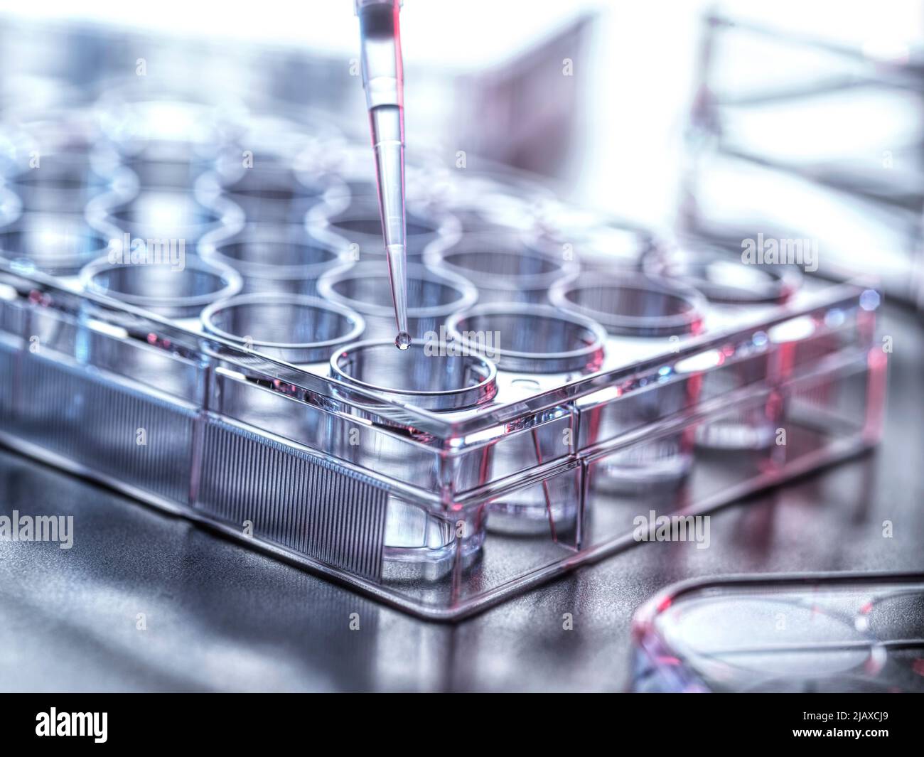 Pharmaceutical Research, Pipetting sample into a multi well plate Stock ...