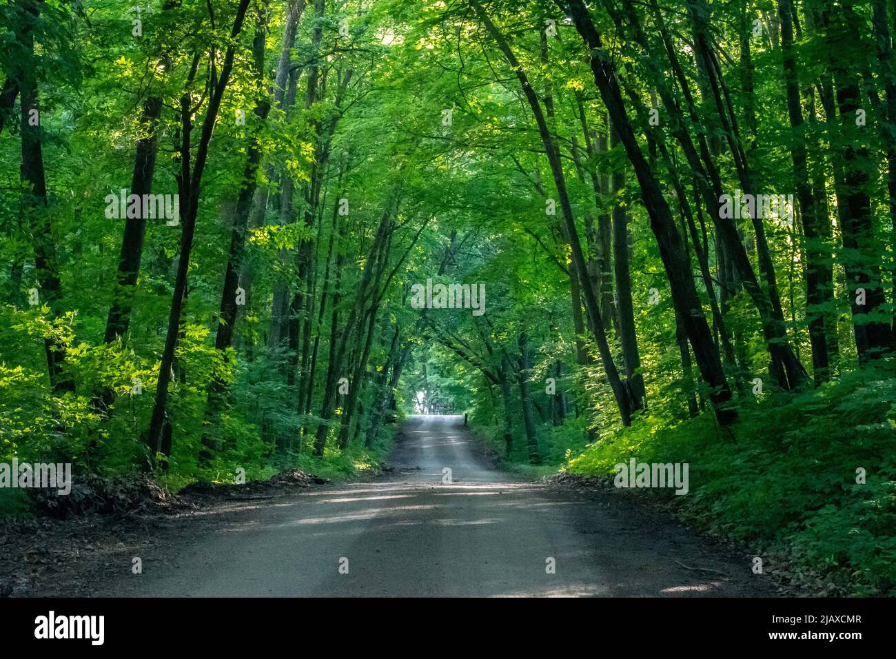 A gorgeous view of the landscape in Tamarac NWR, Minnesota Stock Photo ...