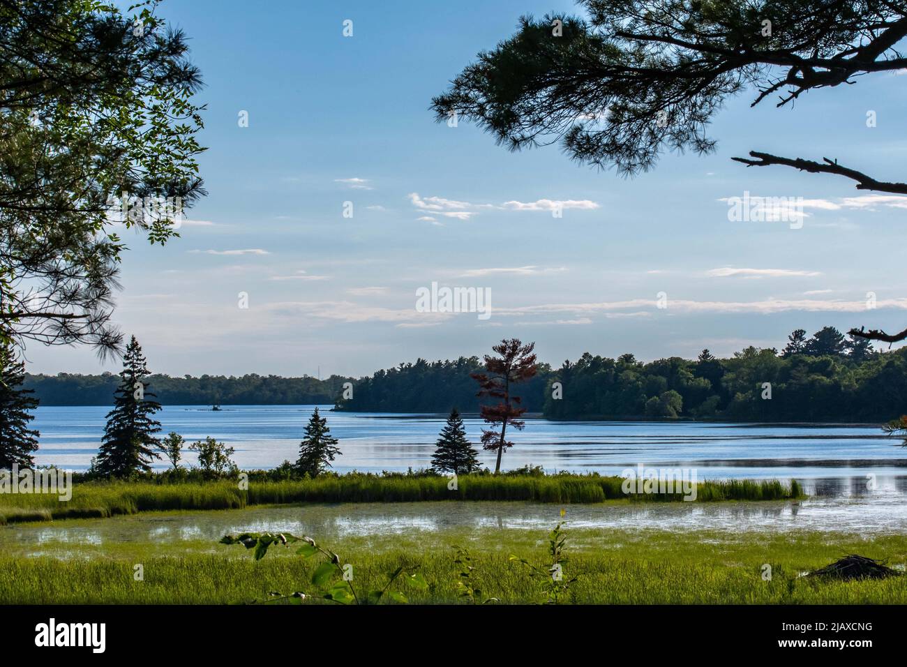 A beautiful overlooking view of nature in Tamarac NWR, Minnesota Stock ...