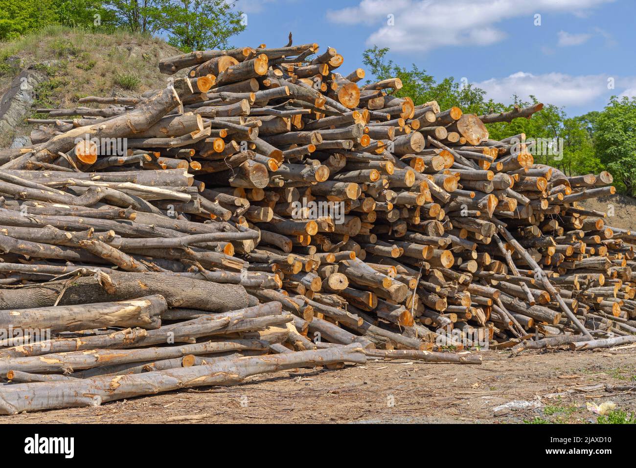 Large Stack of Wooden Logs Lumber Timber Industry Stock Photo - Alamy