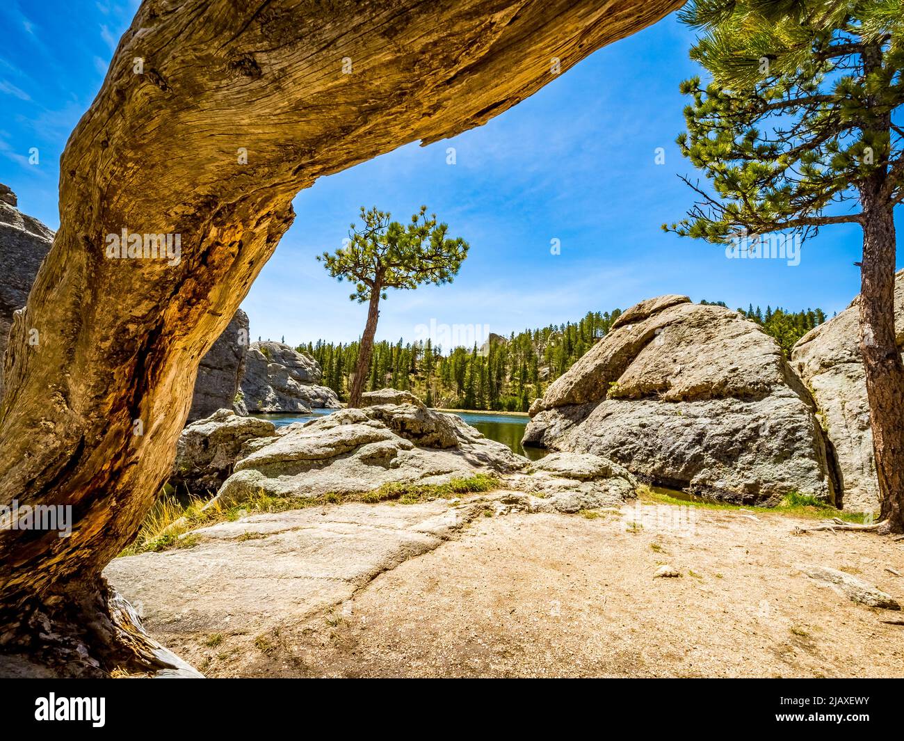 Scenery on walk around Sylvan Lake in Custer State Park in the Black ...