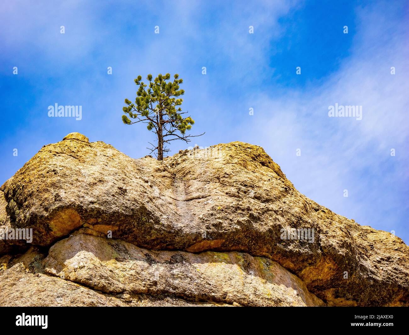 Scenery on walk around Sylvan Lake in Custer State Park in the Black ...