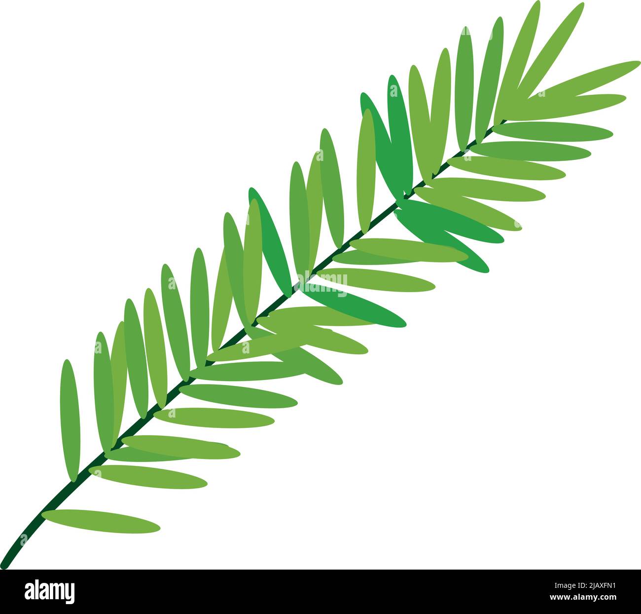 plant branch design Stock Vector Image & Art - Alamy