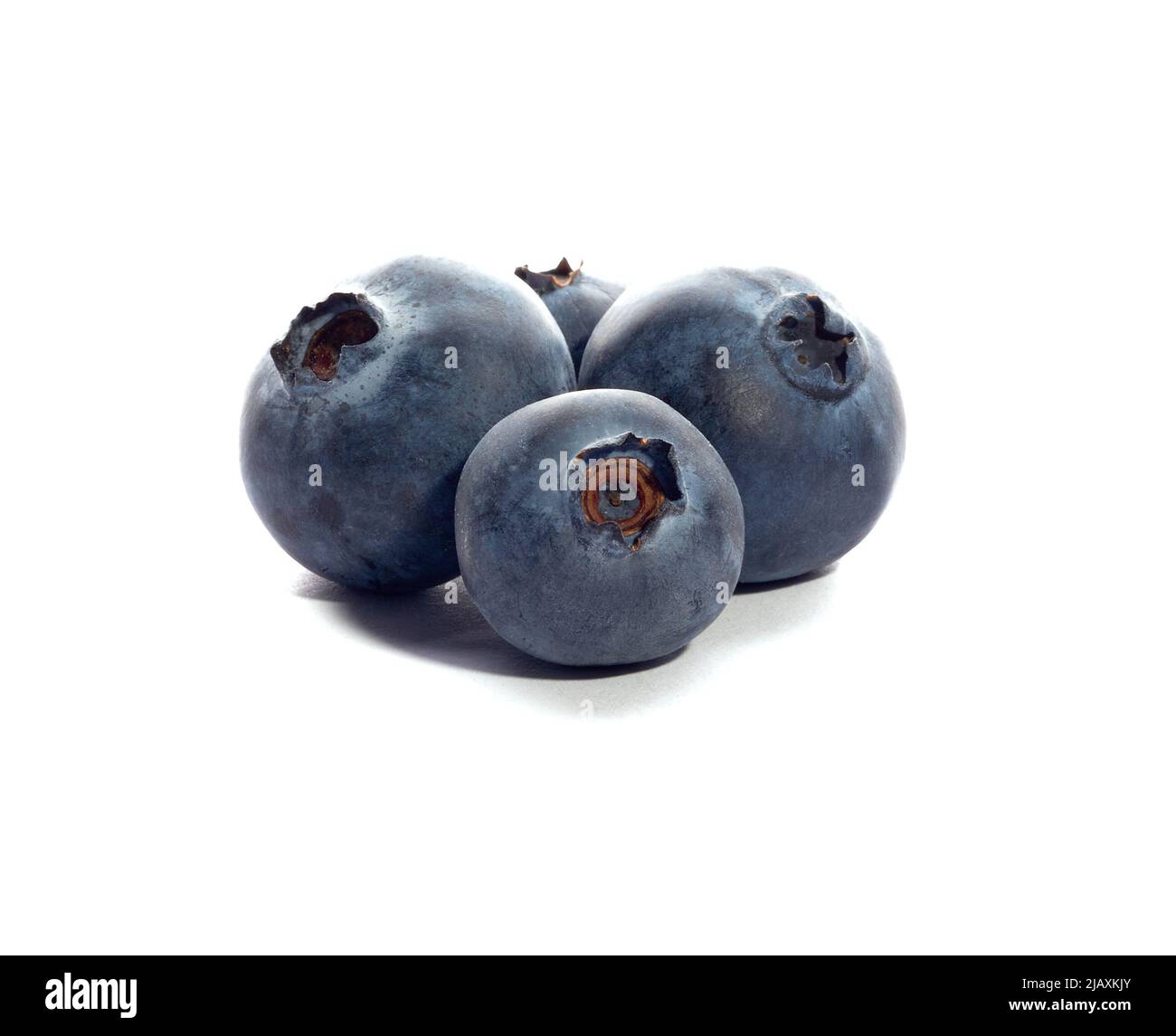 Fresh blueberries isolated on white background. High quality photo ...