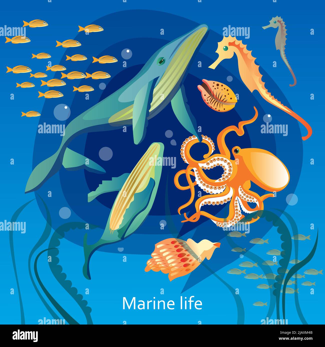 Marine life poster Stock Vector Images - Alamy