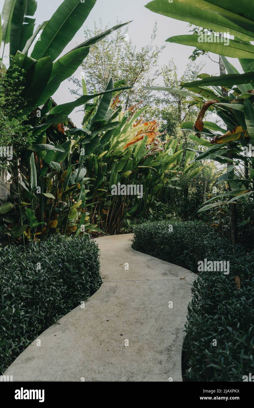 Swerving path through a garden Stock Photo - Alamy