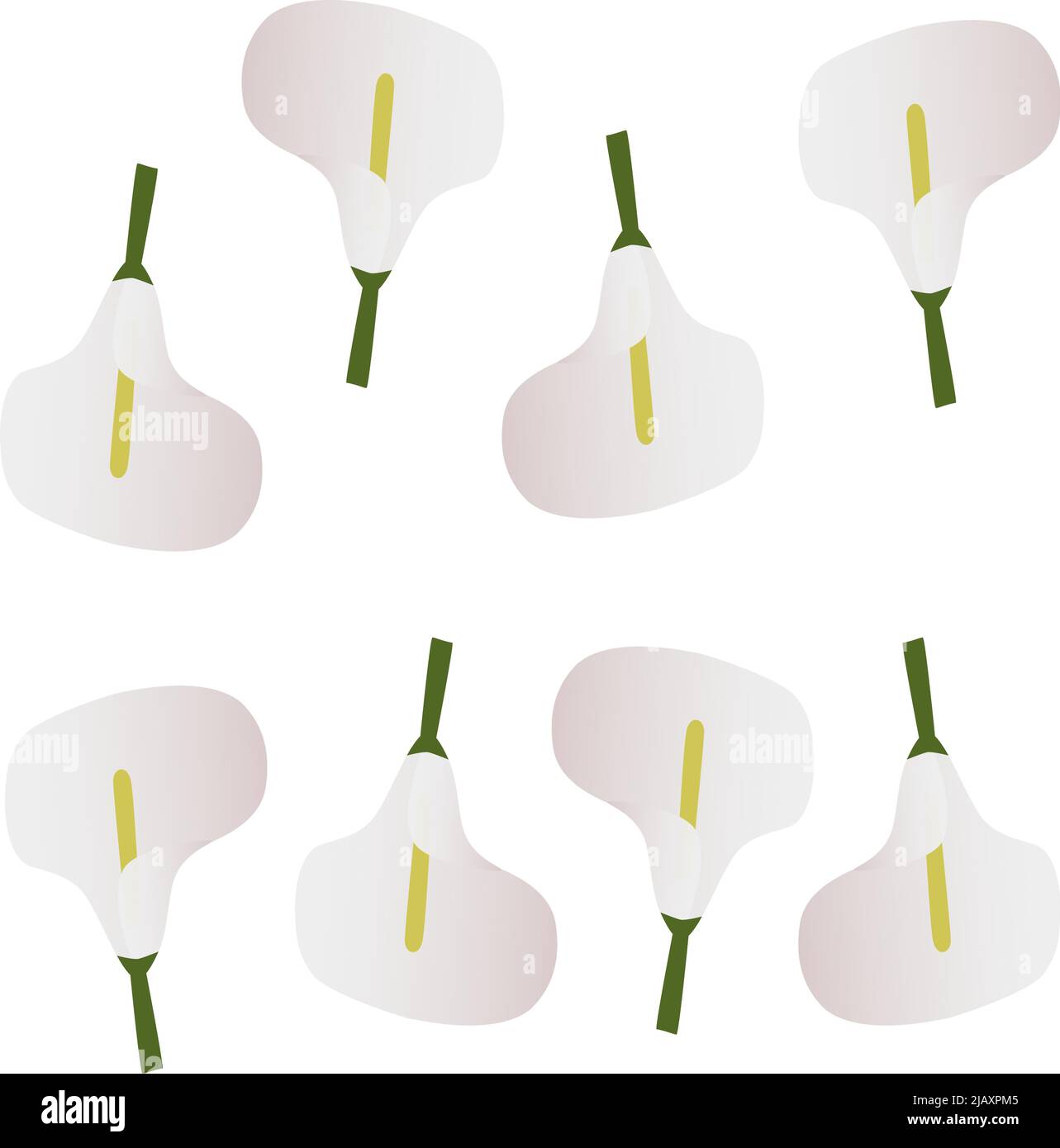 Seamless background with hand-drawn callas. Flower pattern. Botanical ...
