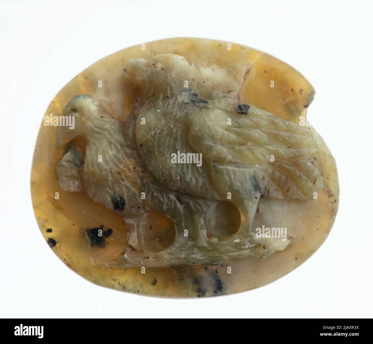 Depiction birds Cut Out Stock Images & Pictures - Alamy