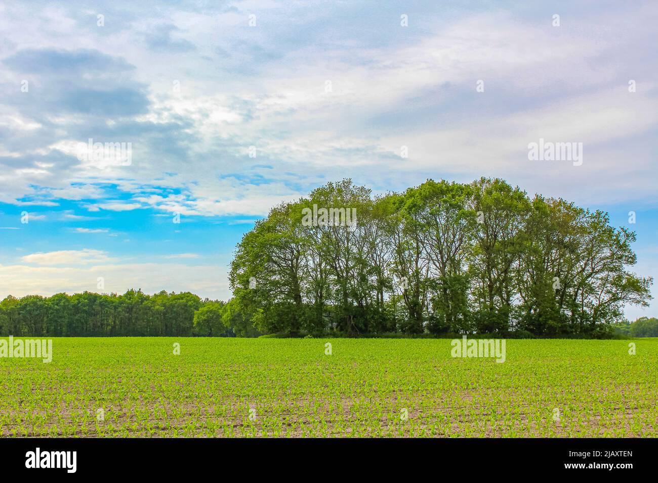 Blue sky with beautiful natural forest and agricultural landscape ...