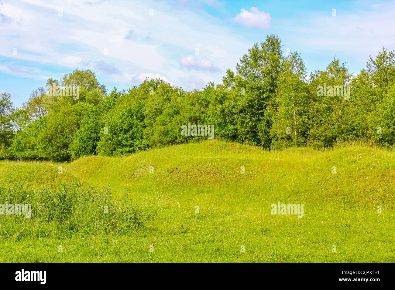 Blue sky with beautiful natural forest and agricultural landscape ...