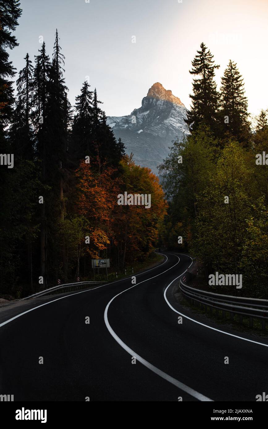 Asphalt road through mountain forest hi-res stock photography and ...