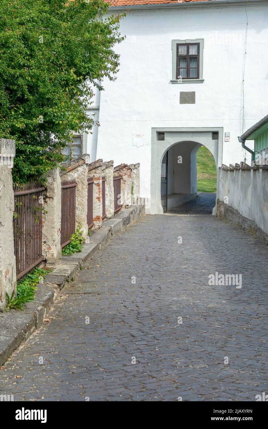 Ruins of the Levice Castle. Levicky hrad, Slovakia Stock Photo - Alamy