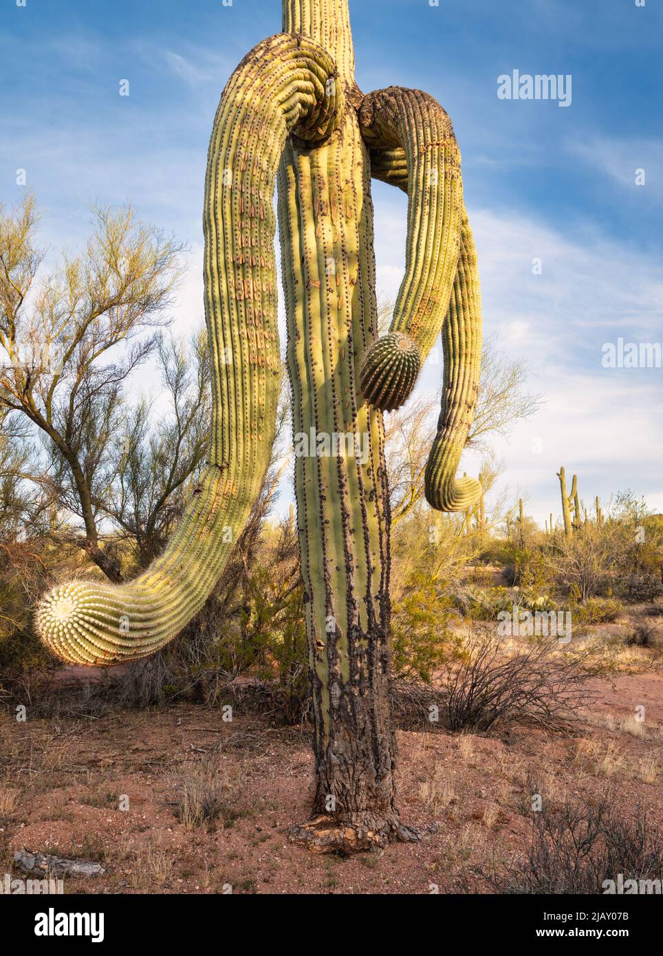 Reaching out towards camera hi-res stock photography and images - Alamy