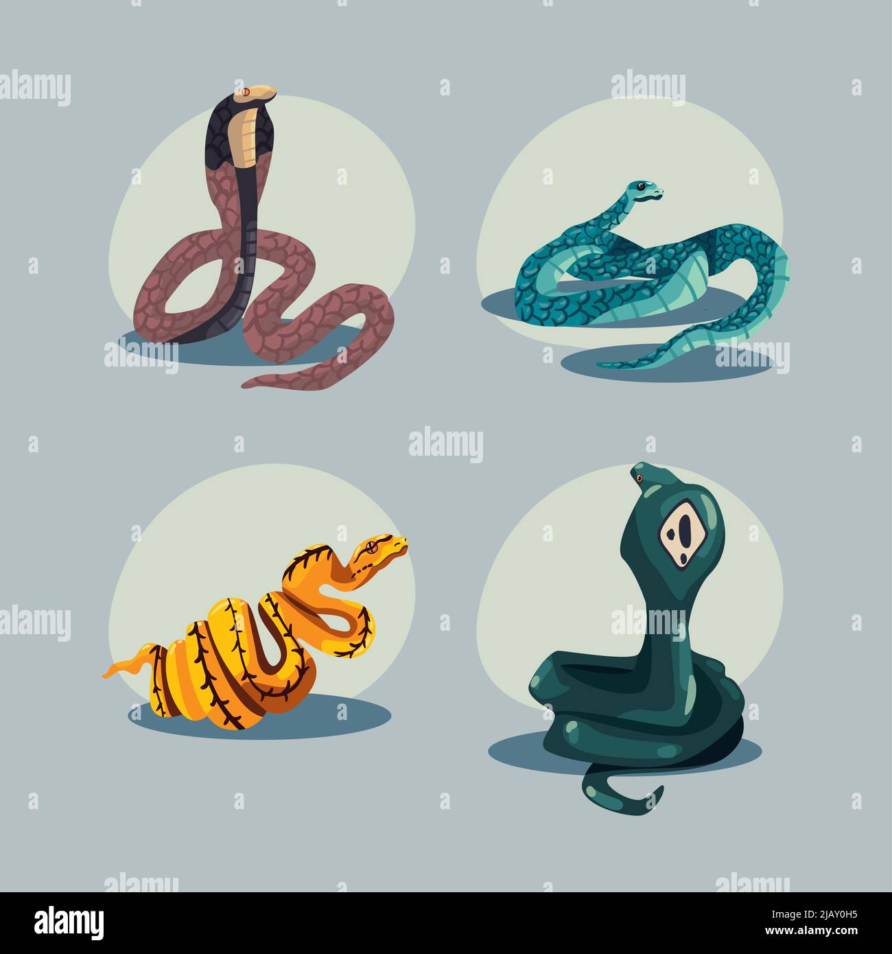 four flat colored snakes Stock Vector Image & Art - Alamy