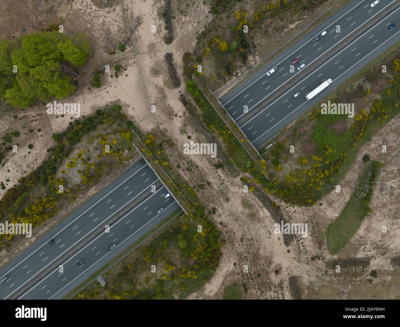 Ecoduct ecopassage or animal bridge crossing over the A12 highway in ...