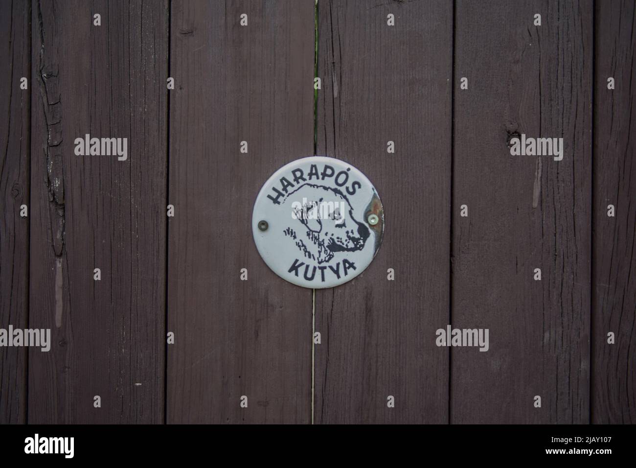 Ferocious dog hi-res stock photography and images - Alamy