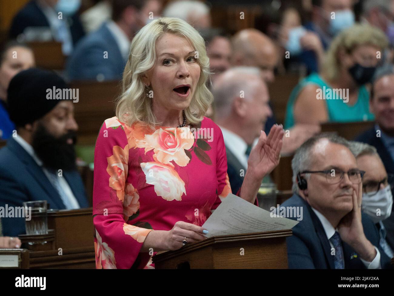Interim Conservative leader Candice Bergen rises during Question Period ...