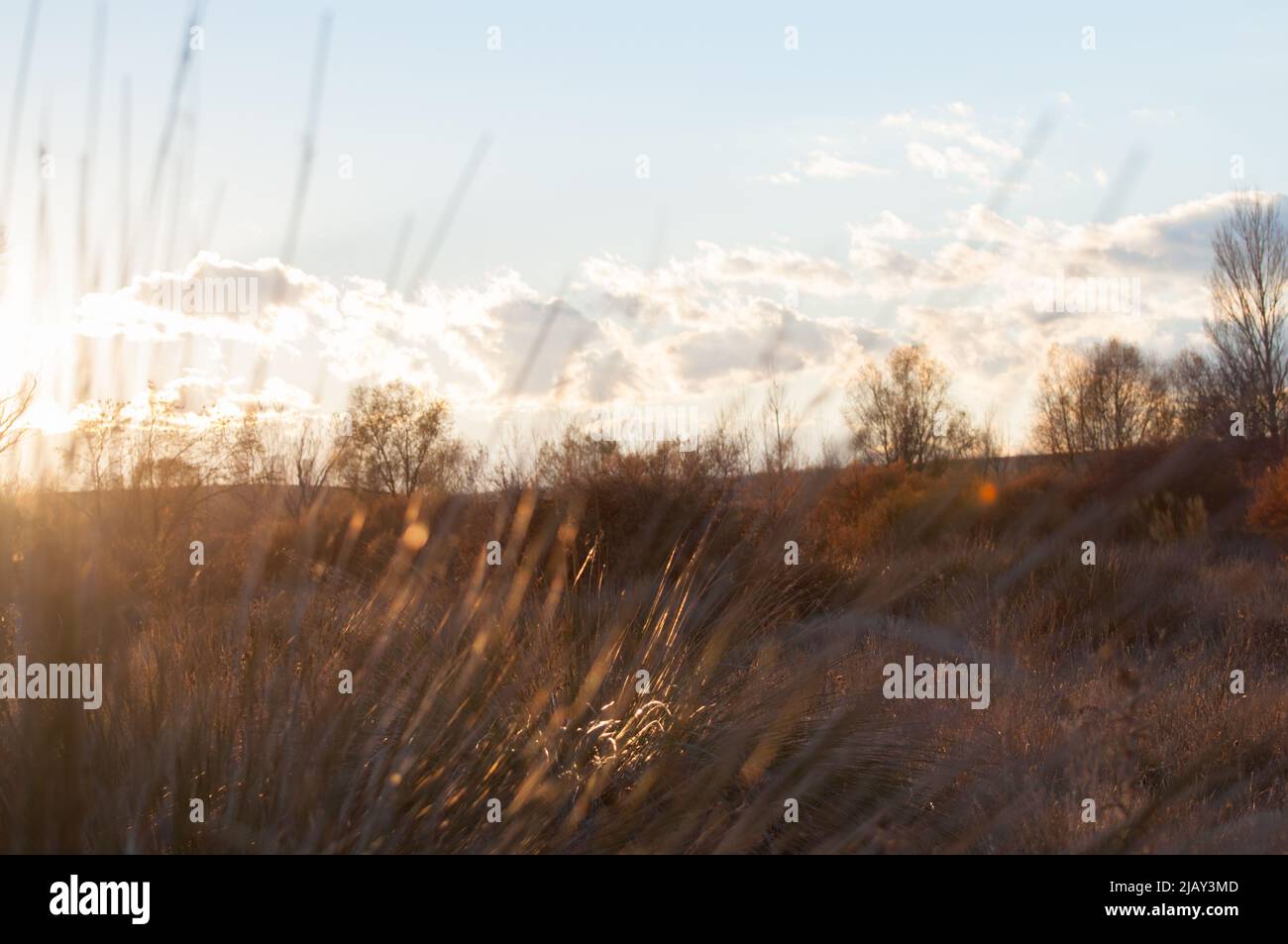 Concept dreaming. Beautiful atmosphere with natural light at sunset in ...
