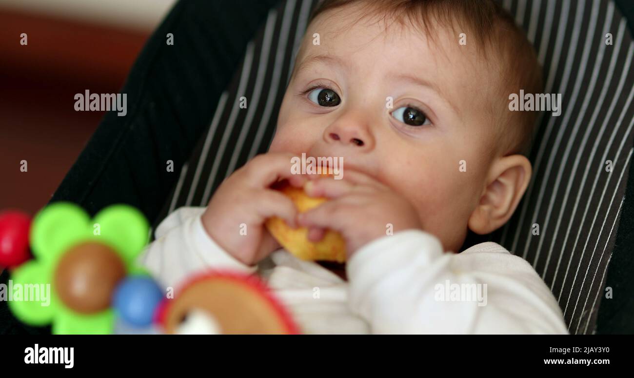 Infant boy eating healty snack apple fruit. baby eats apple, portrait ...