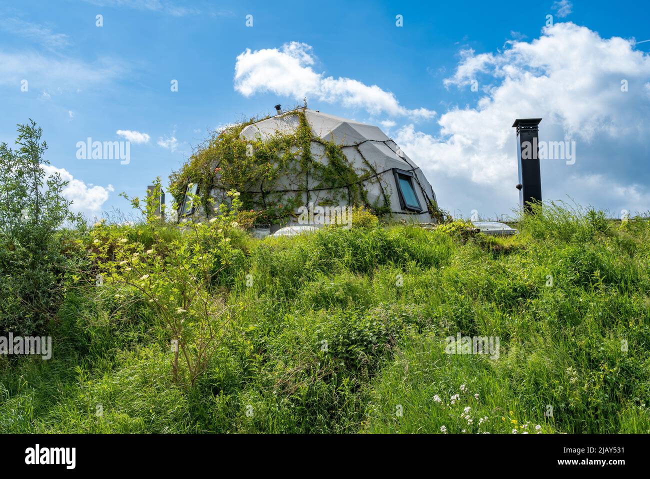 Olst, Overijssel, The Netherlands, 27.05.2022, An ecological ...