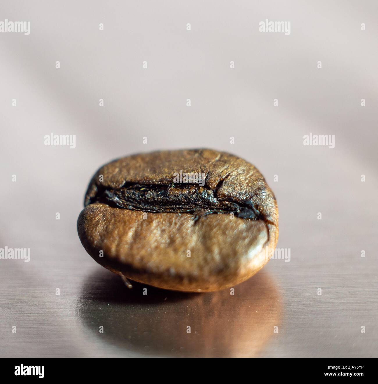 Coffee bean on a reflective surface. Macro. High quality photo Stock ...