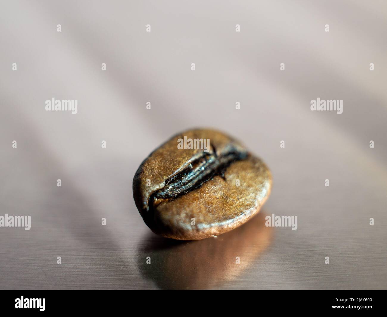 Coffee bean on a reflective surface. Macro. High quality photo Stock ...