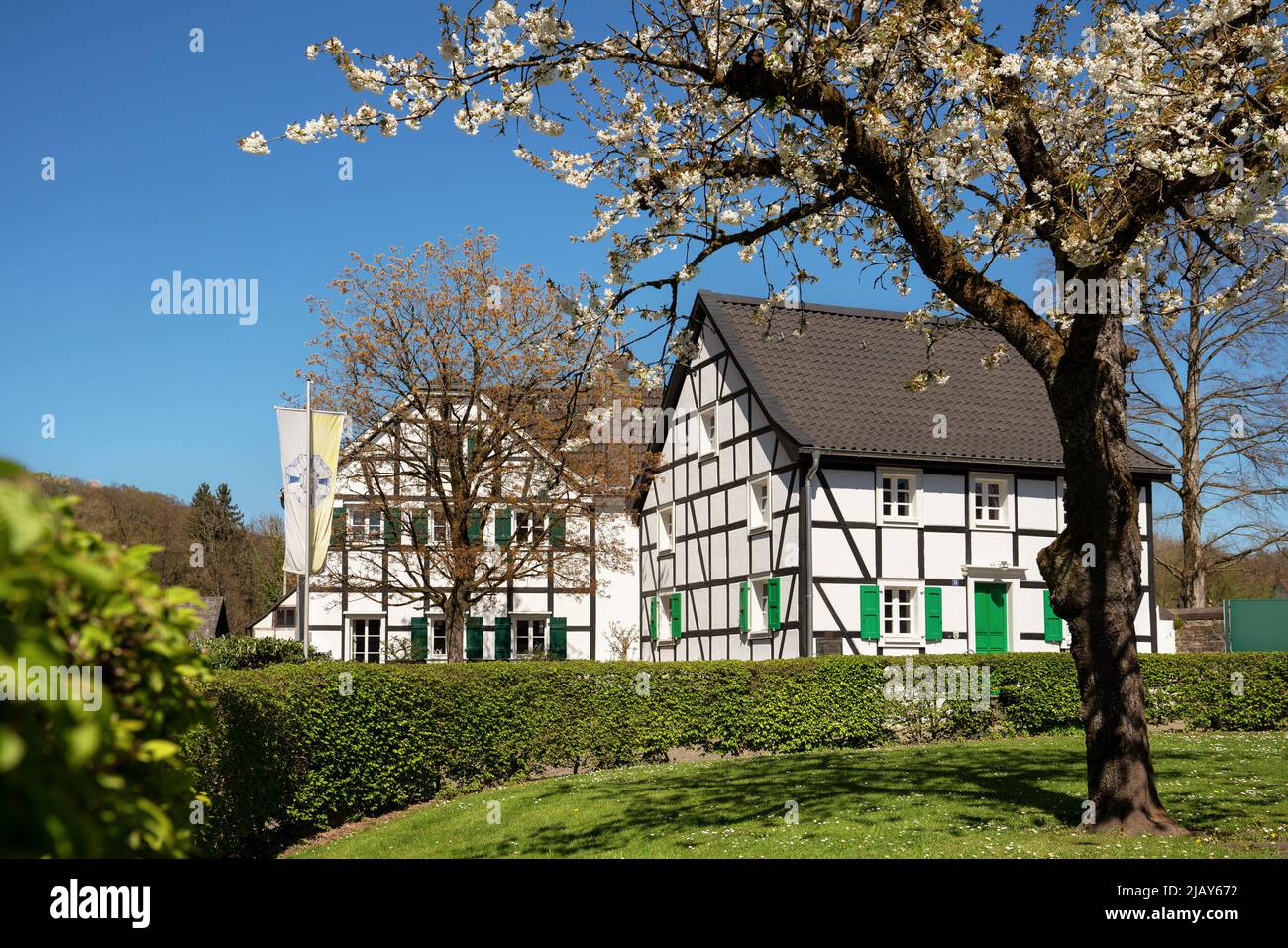 Center of village Odenthal with old buildings and blossoming trees at ...
