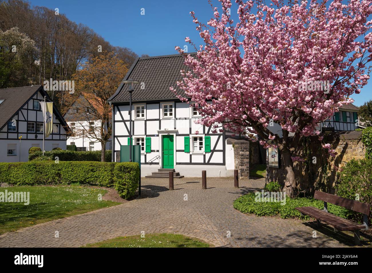 Center of village Odenthal with old buildings and blossoming trees at ...
