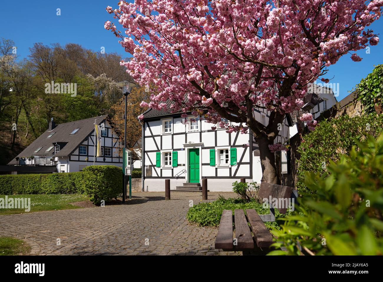 Center of village Odenthal with old buildings and blossoming trees at ...