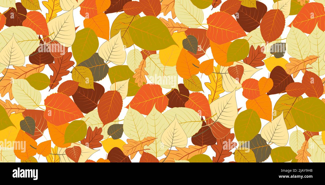 Seamless pattern bright colorful autumn foliage isolated on white ...