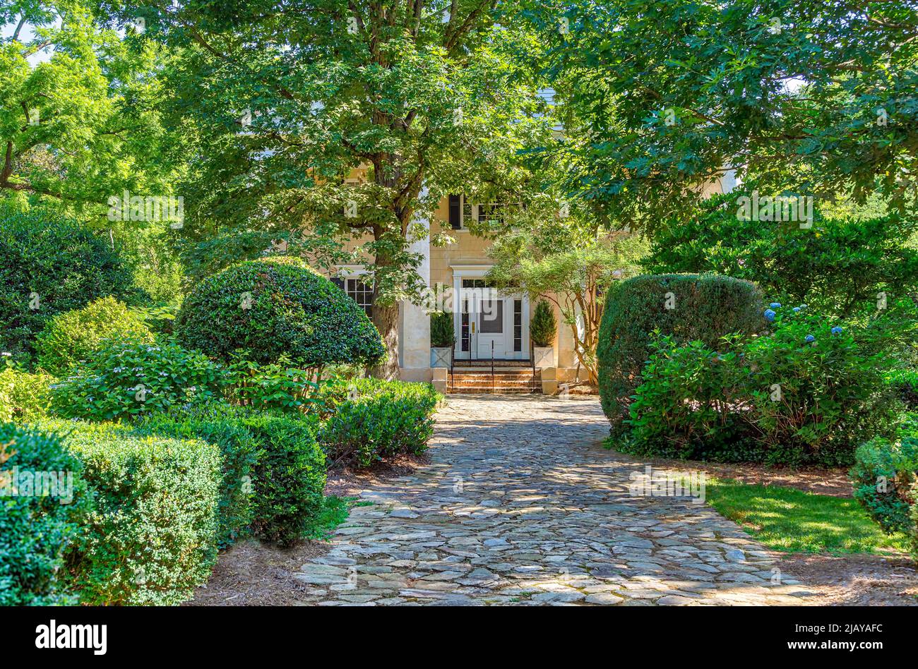 Mimosa estate hi-res stock photography and images - Alamy