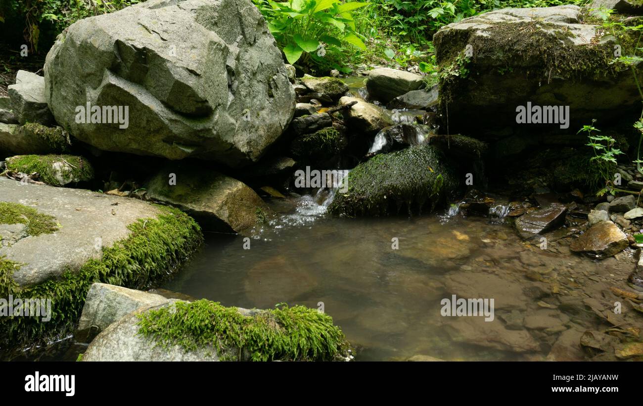 Water surrounded by large granite stones. Wildlife of Sochi, forest and ...