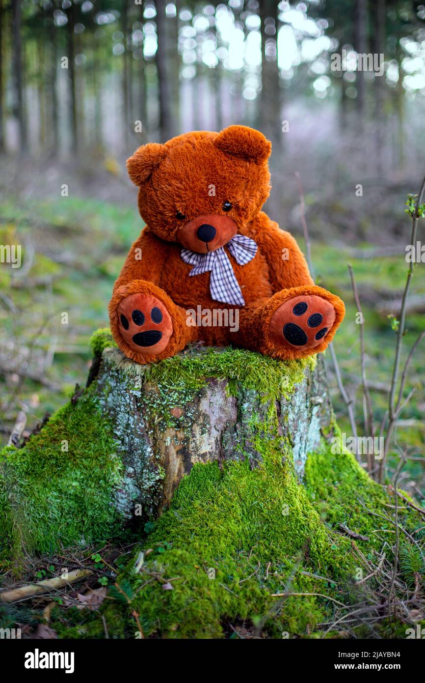 Abandoned teddy bear outdoors hi-res stock photography and images - Alamy